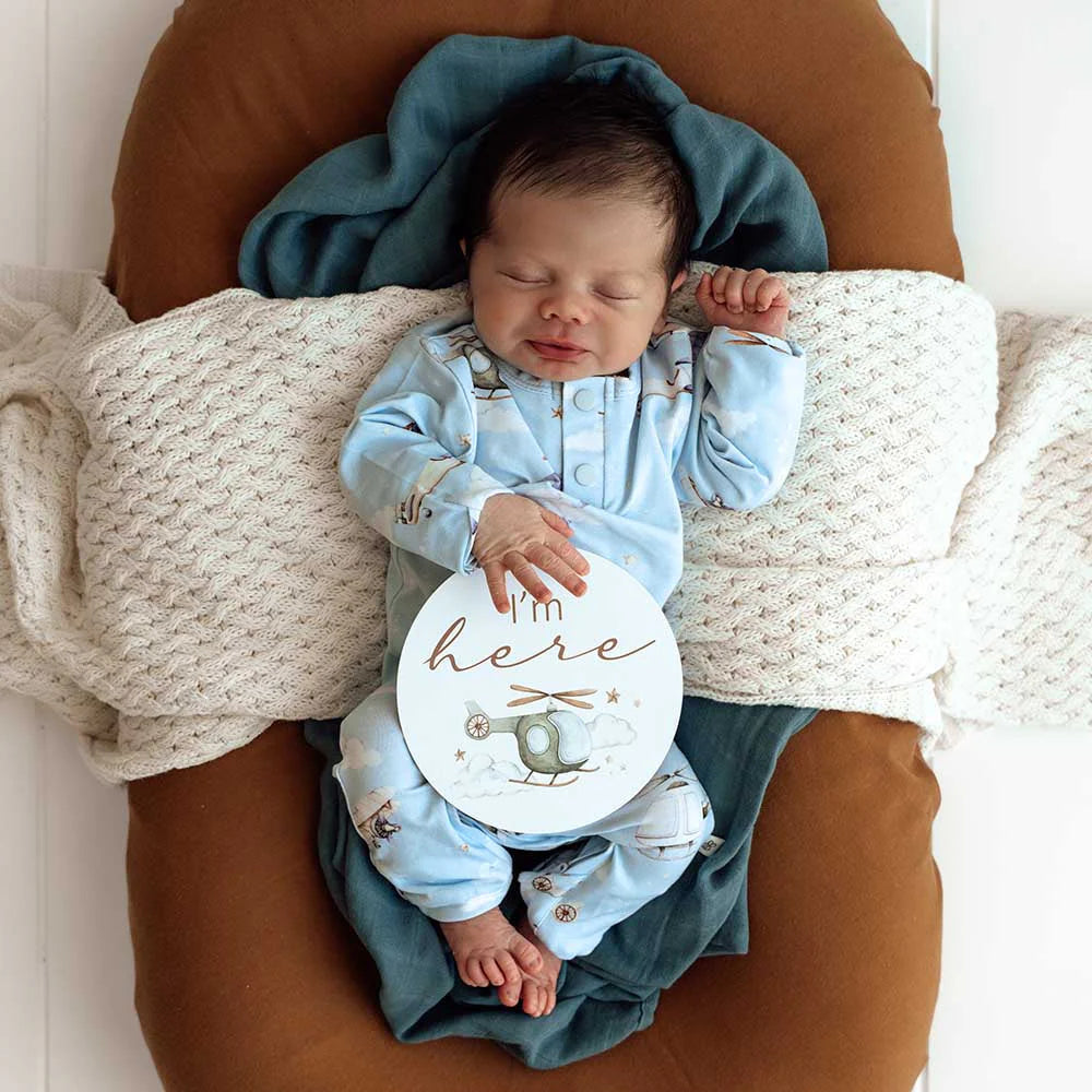 Taking Flight & Pebble Reversible Milestone Cards – Mini&Me Boutique